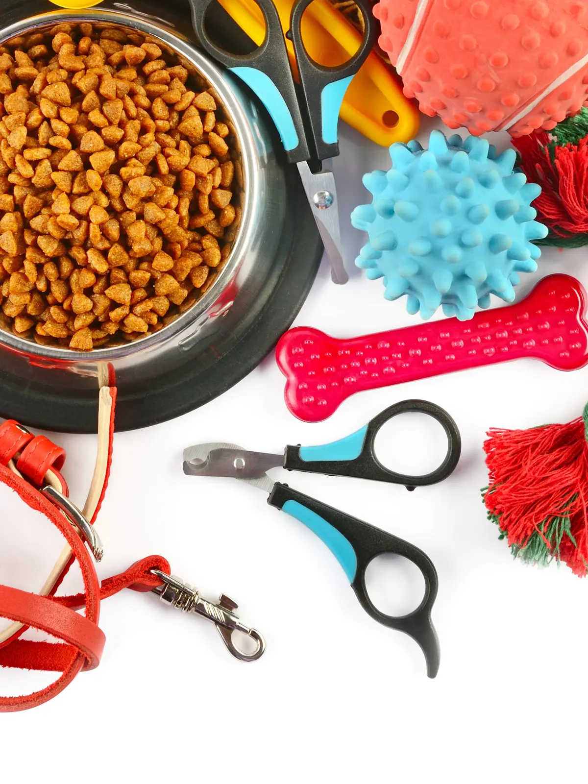 Animal Services | City of Pickering