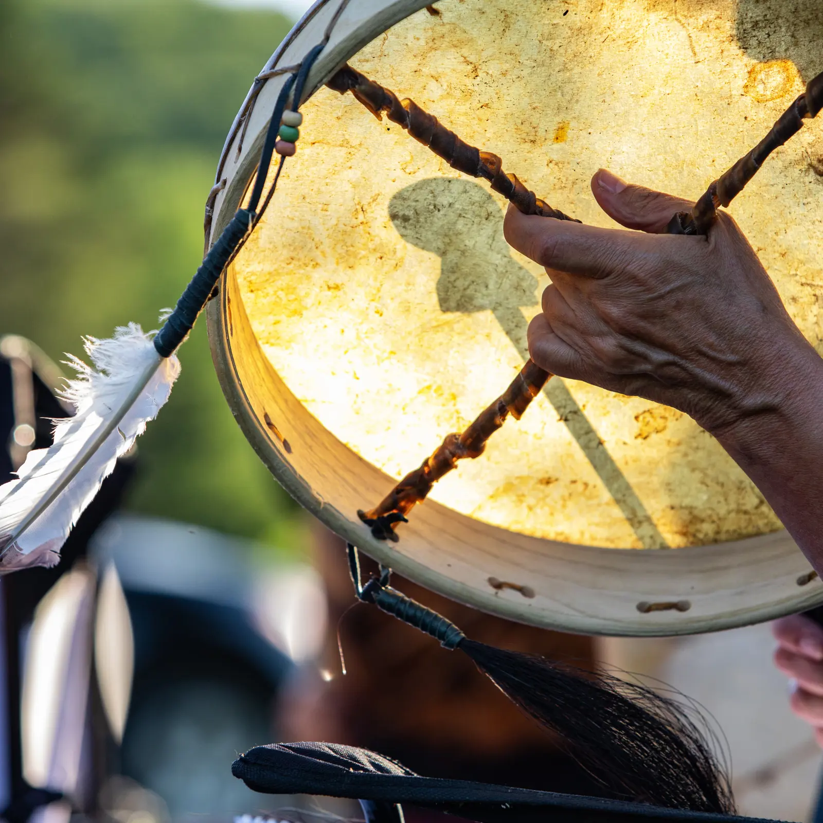 Festivals and Events | City of Pickering